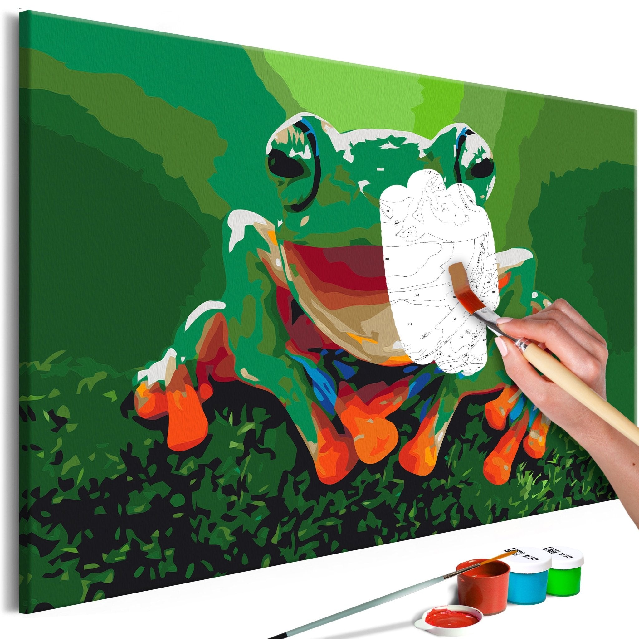 Paint By Numbers Kit - Laughing Frog | DIY Paintings